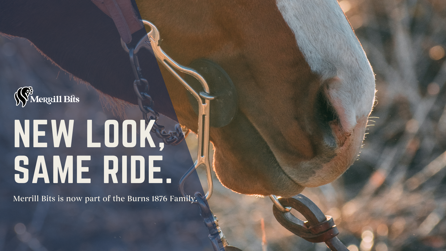 Merrill Barrel Racing Horse Bits – Merrill Bits