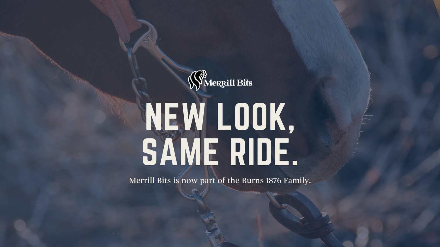 Merrill Barrel Racing Horse Bits – Merrill Bits