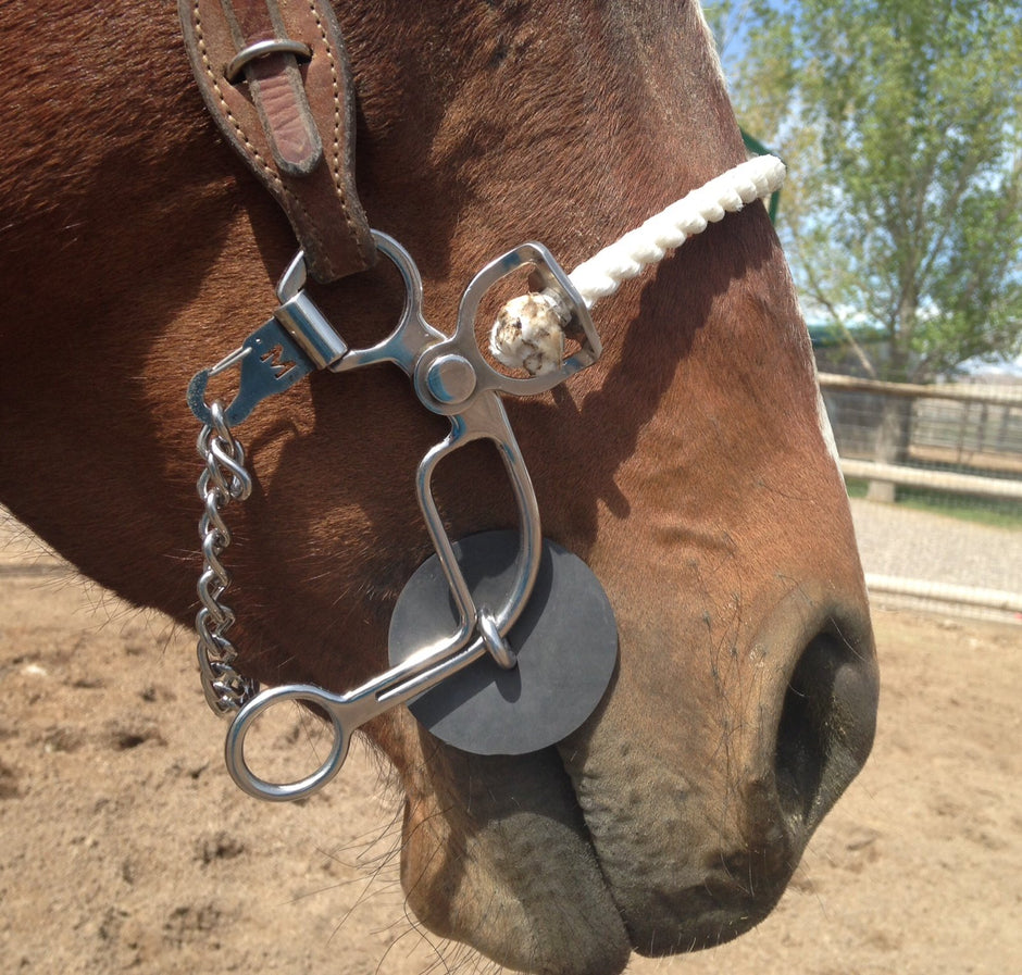 Merrill Barrel Racing Horse Bits – Merrill Bits
